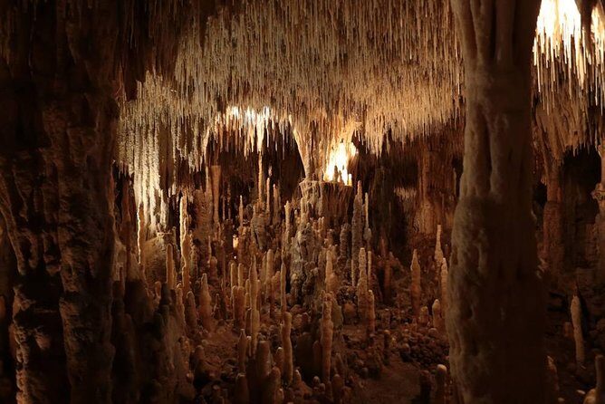 Sarlat : Private Tour to Prehistoric Cave + Castle by Exploreo24 - Who Will Love This Tour?