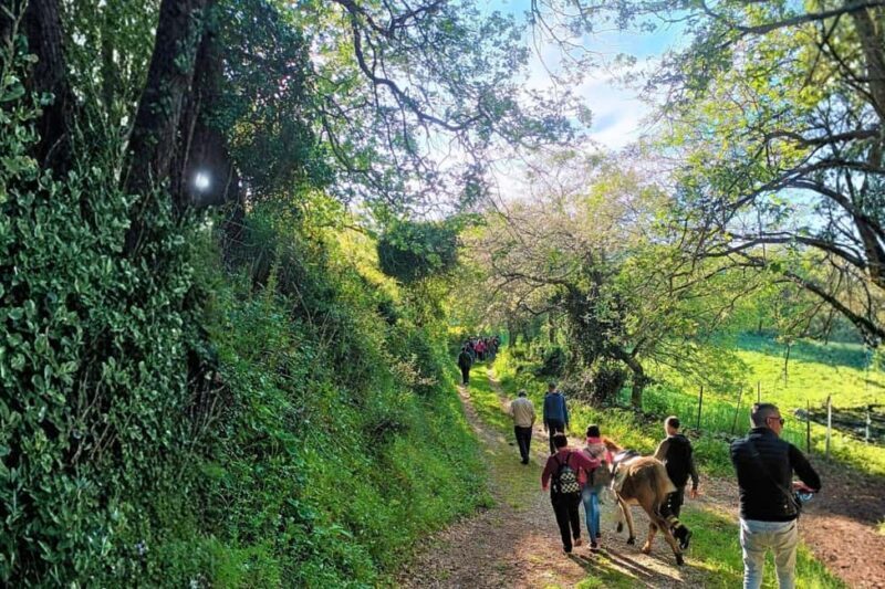 Sassari: hiking with donkeys in Cargeghe and aperitif - Key Points