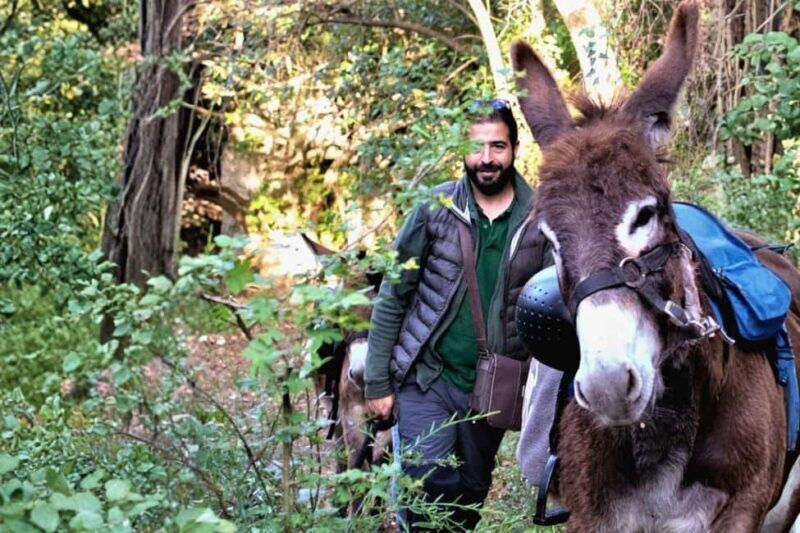 Sassari: hiking with donkeys in Cargeghe and aperitif - Discovering Cargeghe’s Hidden Gems