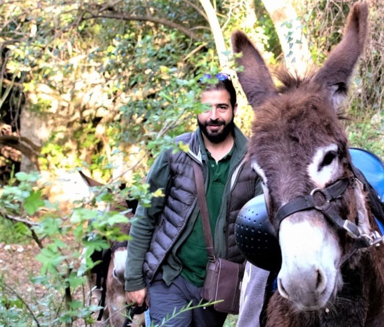 Sassari: hiking with donkeys in Cargeghe and aperitif - What Reviewers Say