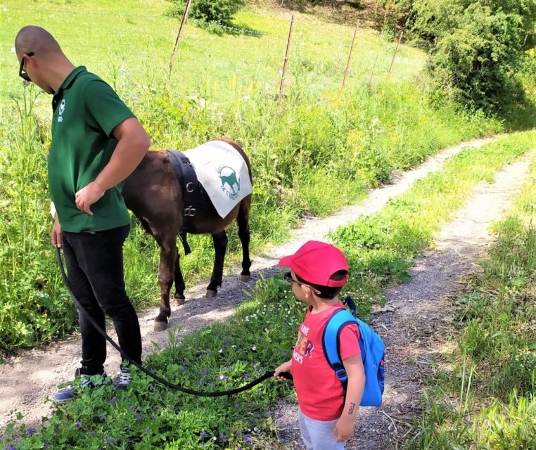 Sassari: hiking with donkeys in Cargeghe and aperitif - The Sum Up