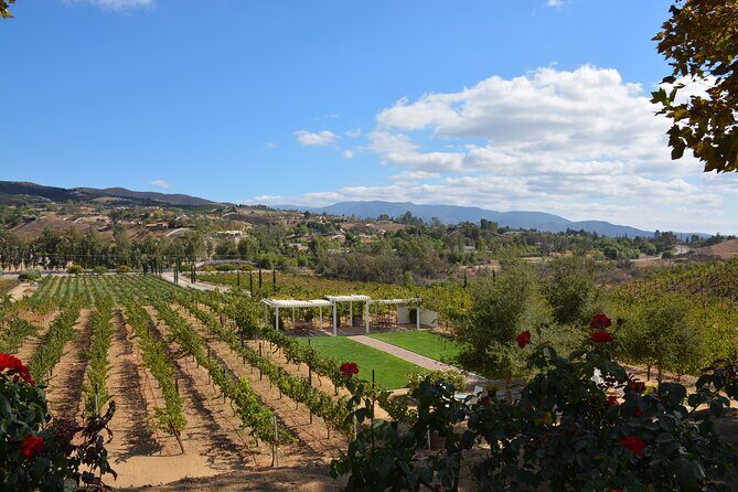 Saturday Legacy Wineries Wine Tour - A Deep Dive into the Temecula Wine Tour Experience