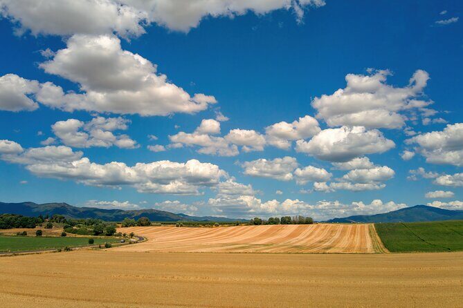 Saturnia Thermal & Wellness from Civitavecchia Port - Key Points