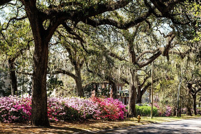 Savannah Historic Downtown Donuts and Sweet Treats Tour - Who Will Love This Tour?