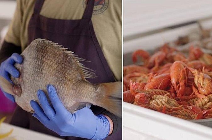 Savor the Sea: Holistic Health Walking Tour in Surf City - Final Thoughts