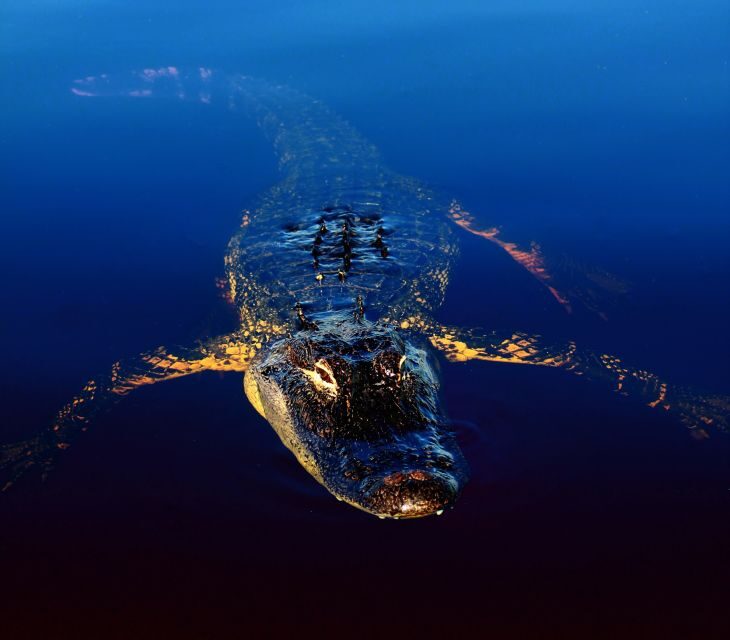 Sawgrass Park: Private 1-Hour Airboat Adventure Tour - FAQ