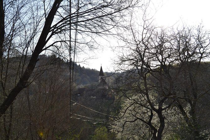 Saxon Heritage in Transylvania: Day Trip from Cluj-Napoca - Frequently Asked Questions