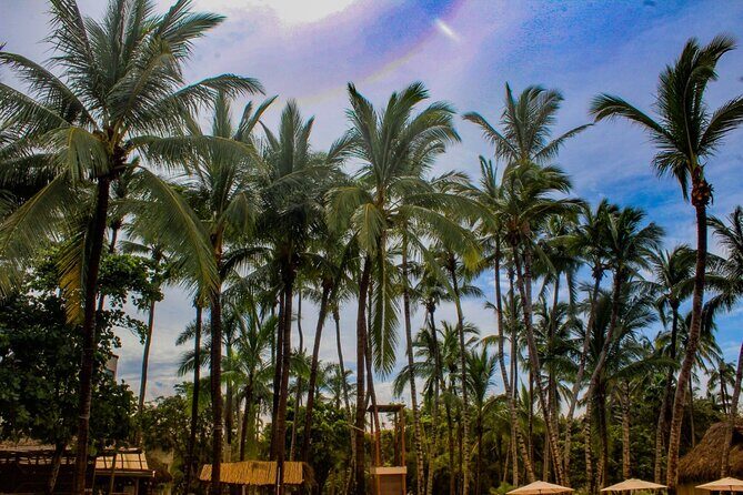 Sayulita and San Pancho Day Trip from Puerto Vallarta - FAQ