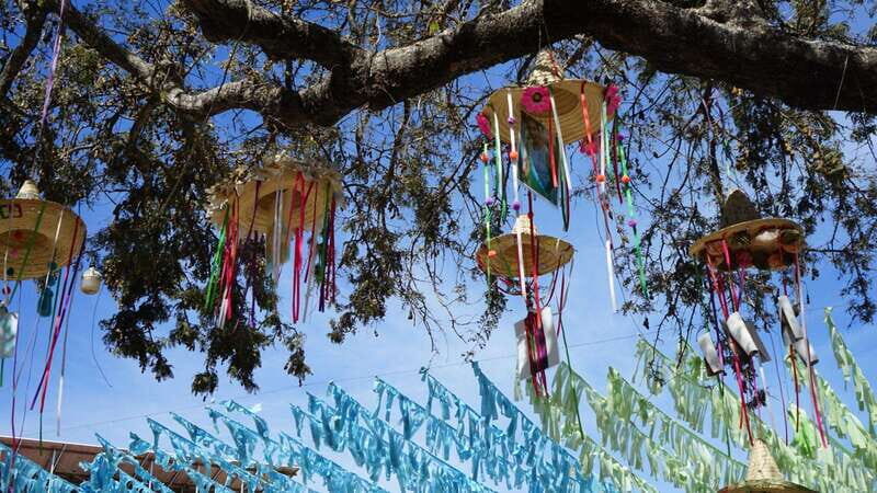 Sayulita: Guided Tour of the City - Key Points