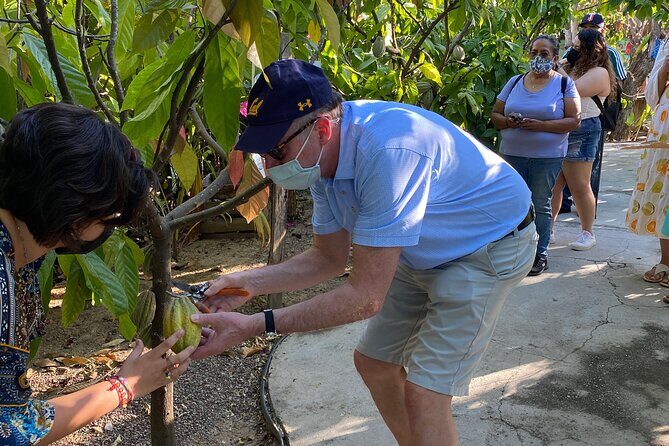 Sayulita Magical Town Tour: Local food, and chocolate. - Who Should Consider This Tour?