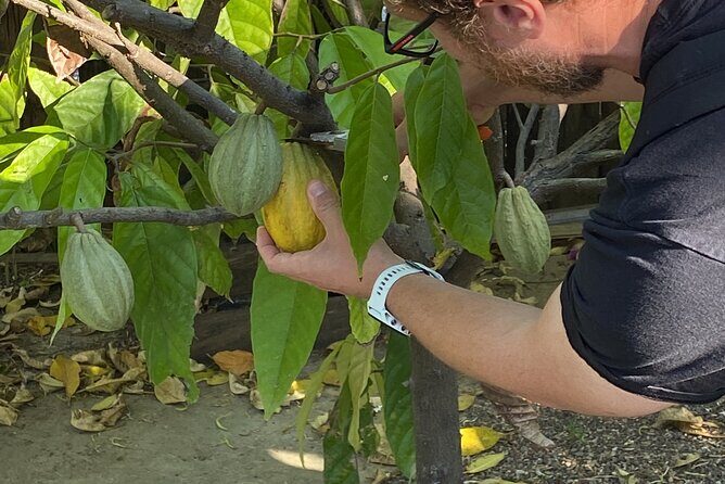 Sayulita Magical Town Tour: Local food, and chocolate. - Final Thoughts