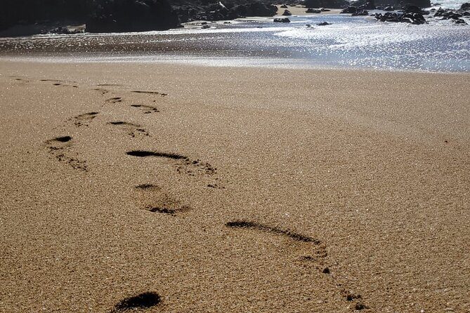 Sayulita Surfer Beach Town and Zarandeado with Seafood Grill - Who Would Love This Tour?