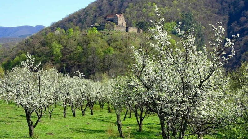 SB13 - Sibiu:Private Half Day Trip to Transylvanian Villages - An In-Depth Look at the Tour