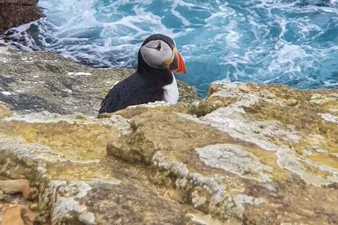 Scapa Tours - Frequently Asked Questions