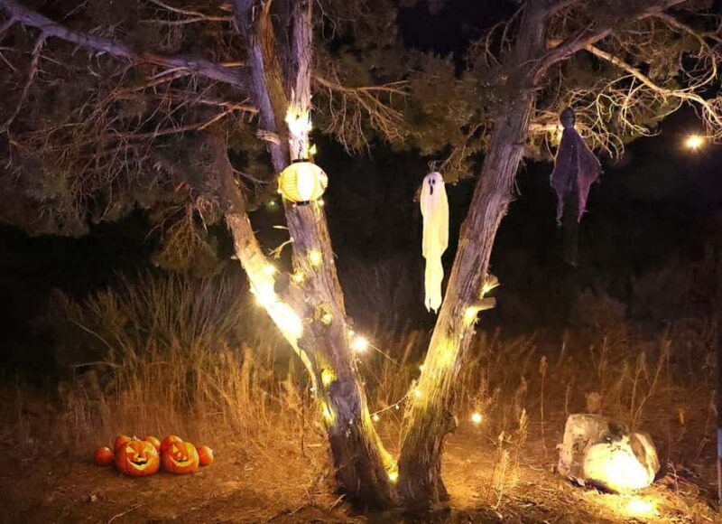 Scary Movie Night in the Desert - Pricing and Value