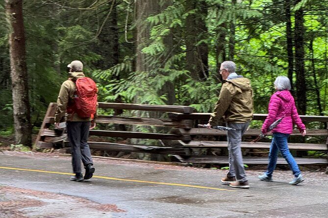 Scavenger Hunt Adventure with Geocaching in Whistler - What to Expect from the Whistler Scavenger Hunt