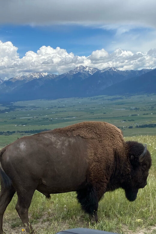 Scenic Driving Tour Flathead Lake and Bison Range - FAQ