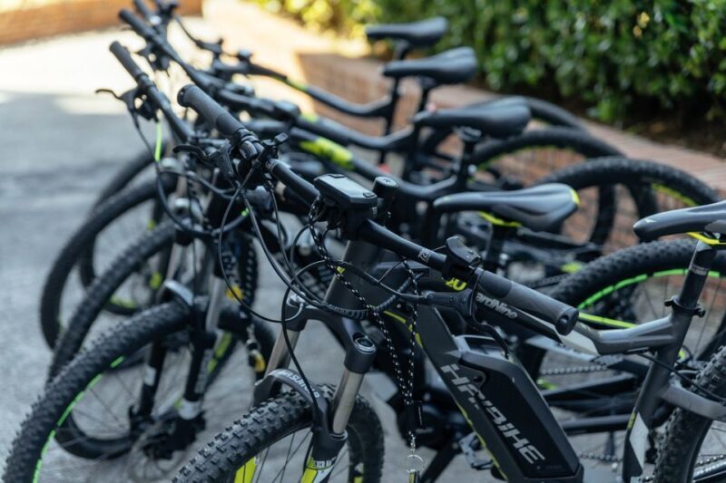 Scenic E-Bike Ride with Vineyard Wine & Meal - Key Points