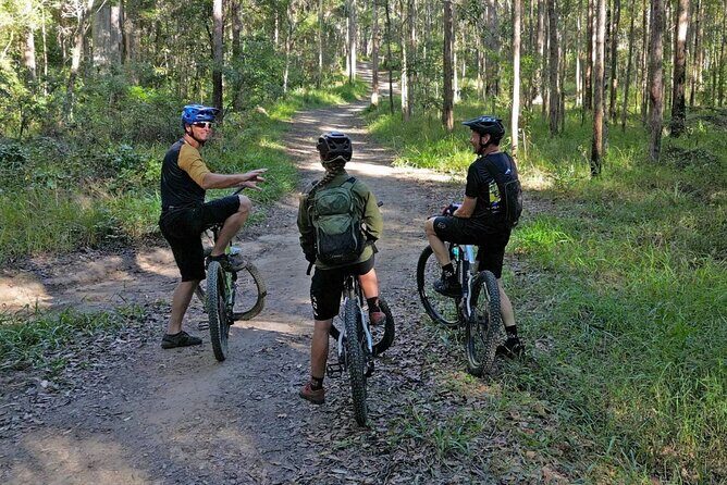 Scenic eBike of the Noosa Biosphere Trail Network - Key Points