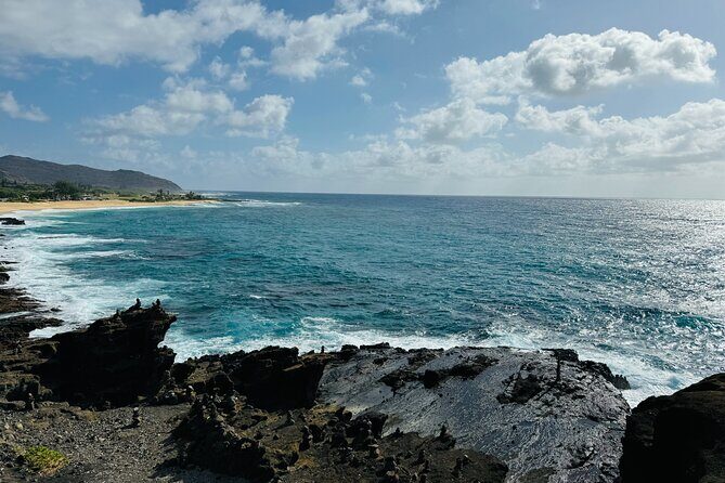 Scenic half day Circle Island tour - What Makes This Tour Stand Out?