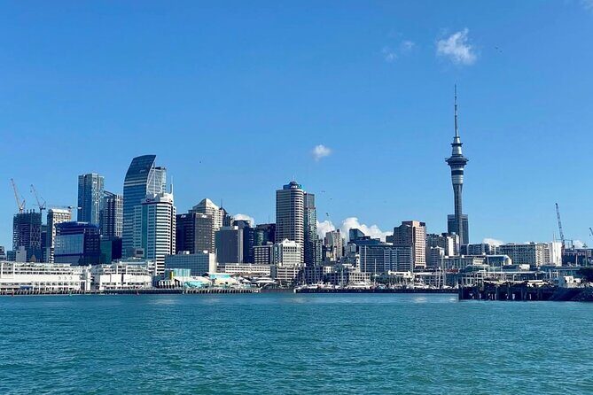 Scenic Harbour Cruise in Auckland - The Sum Up: The Practical, Scenic Choice
