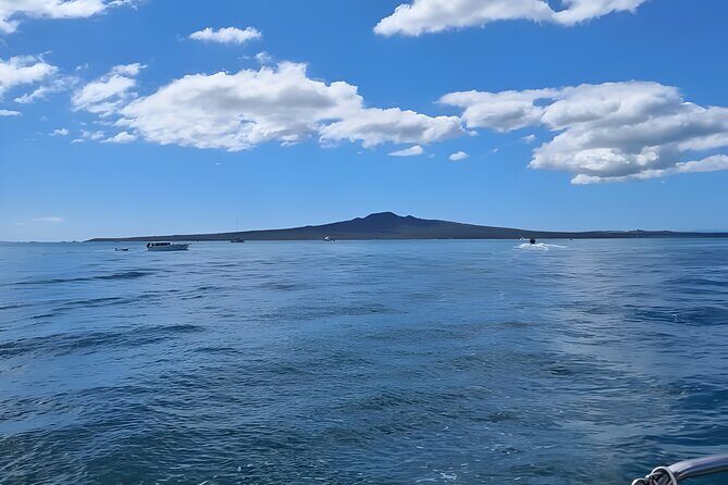 Scenic Harbour Cruise in Auckland - FAQ