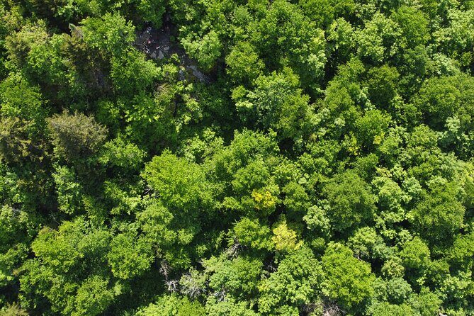 Scenic Hiking Adventure at Mont-Orford National Park - FAQ