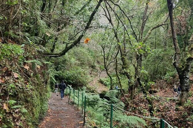 Scenic Hiking and Rum Tasting Experience - Who Would Love This Tour?
