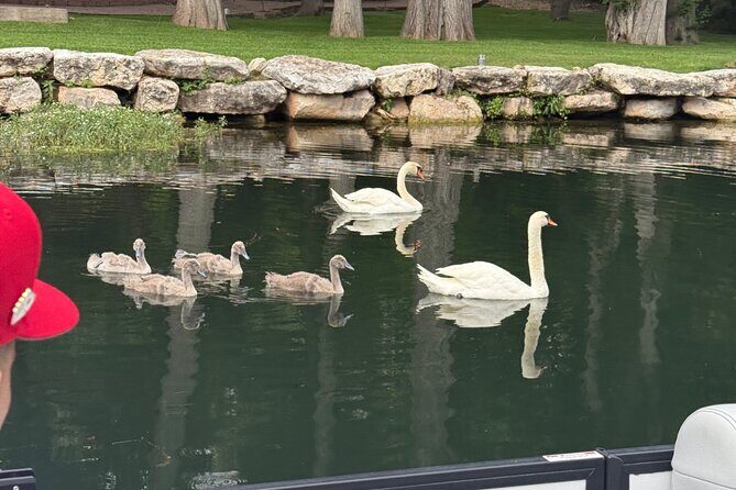 Scenic Lake Austin Boat Tour. BYOB. 2 hr (up to 12 guests) - What Reviewers Say