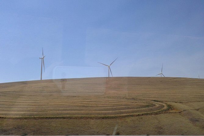 Scenic Landscapes Northwest Geology - Ice Age Floods Tour - The Experience Provider and Booking Details