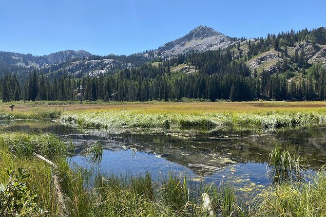 Scenic Park City Tour via Big Cottonwood Canyon - Practical Aspects and Comfort