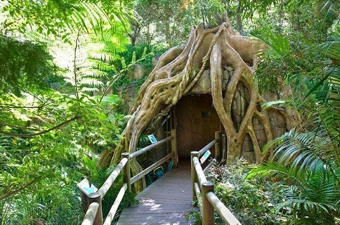 Scenic Rim Explorer - Final Thoughts: Who Will Love This Tour?