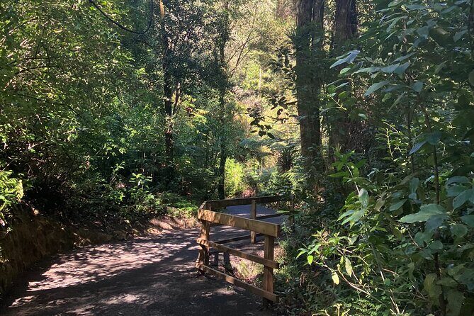 Scenic Short Hike Tour - Papamoa Hills and McLaren Falls - Who Should Book This Tour?