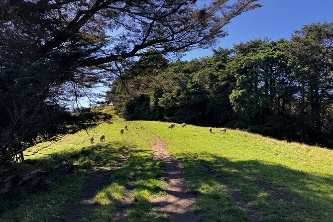 Scenic Short Hike Tour - Papamoa Hills and McLaren Falls - The Sum Up