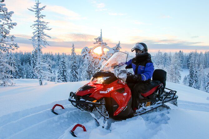 Scenic Snowmobile Safari in Saariselkä - What to Expect from the Tour
