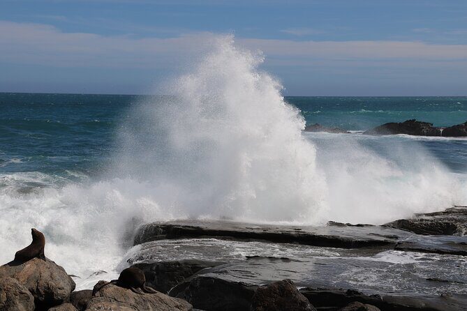 Scenic South Wairarapa Full Day Tour from Wellington - Key Points