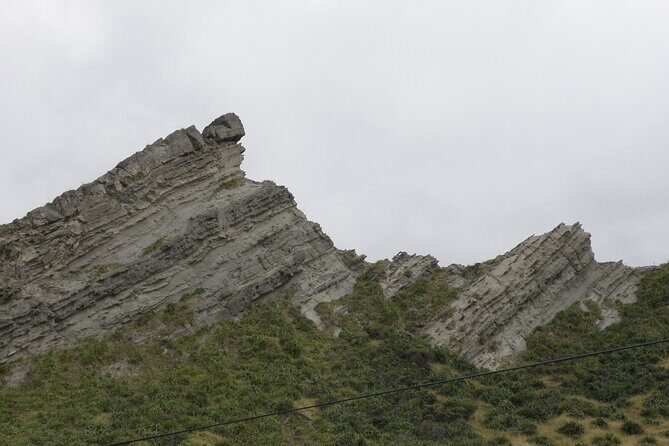 Scenic South Wairarapa Full Day Tour from Wellington - Price and Value