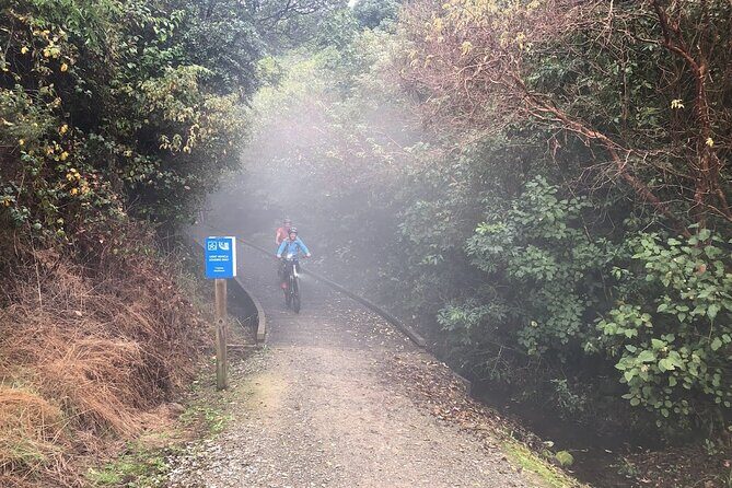Scenic Spooners Tunnel Adventure in Nelson Tasman - Key Points