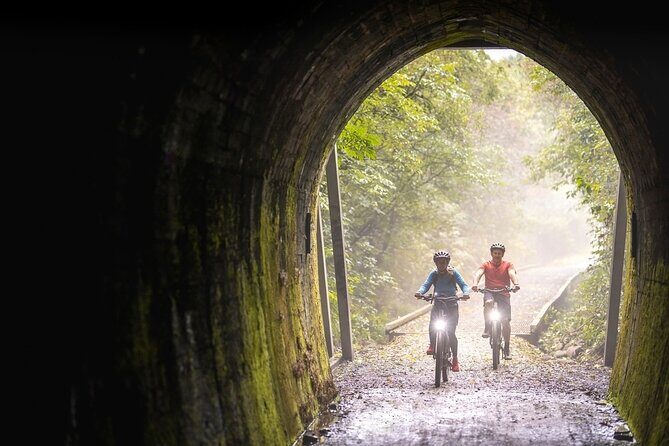 Scenic Spooners Tunnel Adventure in Nelson Tasman - In-Depth: The Itinerary and What to Expect