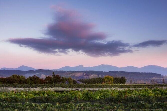 Scenic Spooners Tunnel Adventure in Nelson Tasman - Who Will Love This Tour?