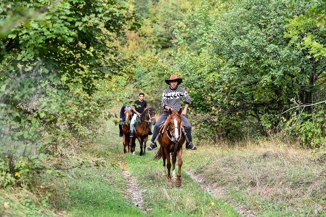 Scenic Trail Rides - Who Will Love This Tour?