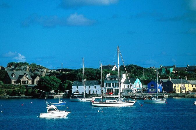 Scenic West Cork to Mizen Head departing from Cork City. Guided. Full Day - Practical Considerations