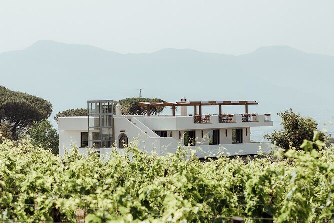 Scenic Wine Tasting & Lunch on the Slopes of Vesuvius from Naples - What to Expect from the Tour