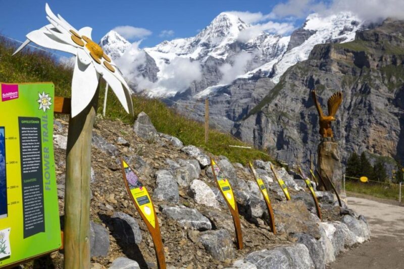 Schilthorn Day Trip and Bond World 007 from Geneva - Discovering the Swiss Alps: A balanced look at the Schilthorn Day Trip from Geneva