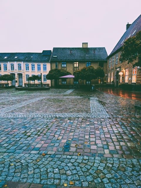 Schleswig: Highlights tour (cathedral, old town, Holm, city harbor) - Key Points  