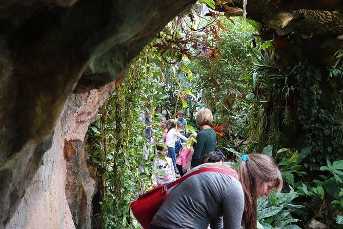 Schmetterlinghaus - Imperial Butterfly House Vienna Admission Ticket - FAQ