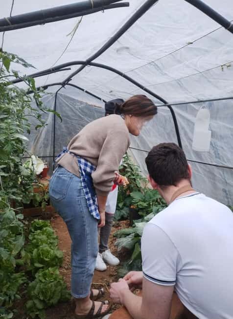 Sciacca: Traditional Pasta Class With Wine Included - FAQ About the Pasta Class in Sciacca