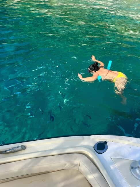 Scilla in Barca-Costa Viola tour: Caves-Cala Janculla - FAQ