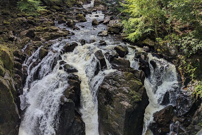 Scone Palace, Nature, Pitlochry, Whisky Experience from Glasgow - Who Will Love This Tour?