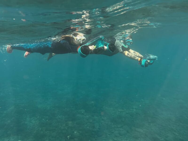 Scooter fun snorcel tour in turtle area - Key Points